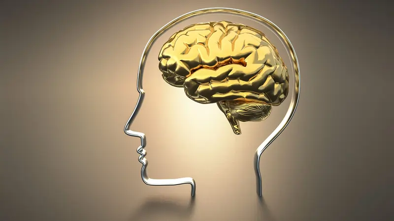 મગજ (Brain) - શરીર રચના, કાર્યો, આરોગ્ય, રોગો